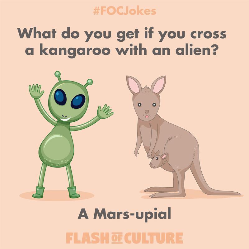 What do you get if you cross a kangaroo with an alien? – Flash of Culture